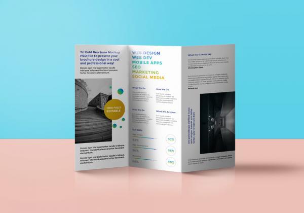 Z fold DL leaflets 350gsm Silk 6pp - UK Biz Printing & Signs