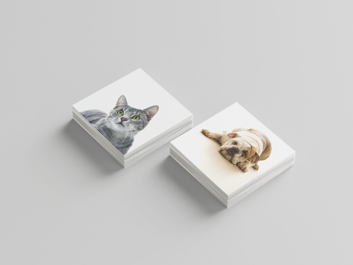 Square 450gsm Silk Business Cards - UK Biz Printing & Signs